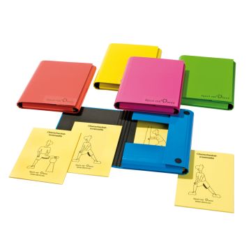 Flash Card Therapy Learning Systems | Kübler Sport