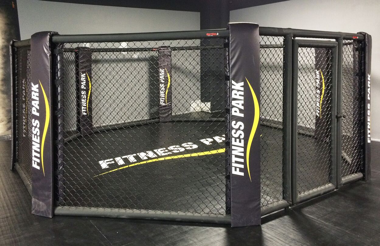 Inside Mma Octagon